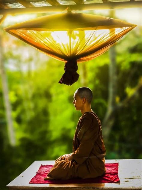 Inspiring Lessons And Quotes From Zen Masters Strivezen