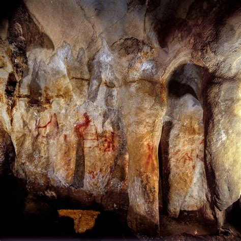 Neanderthal House 10 Fascinating Discoveries About Neanderthals In