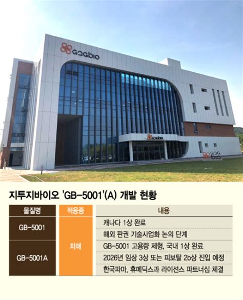 빅파마 비만·당뇨 협업에 주목 지투지바이오 치매藥 상업화도 순항