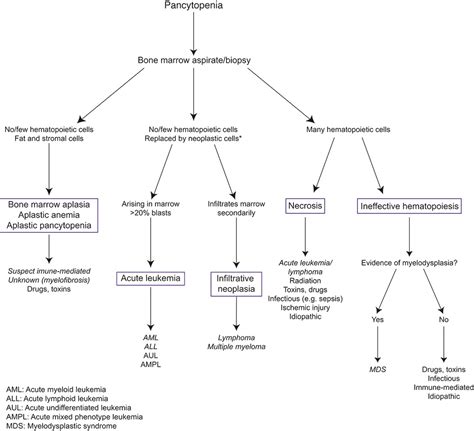 Pancytopenia Archives Eclinpath Pancytopenia Archives Eclinpath