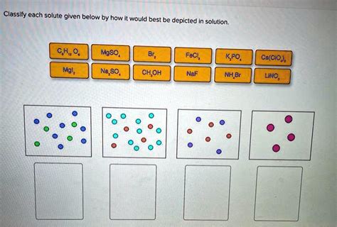 classify each solute given below by how it would best be depicted in