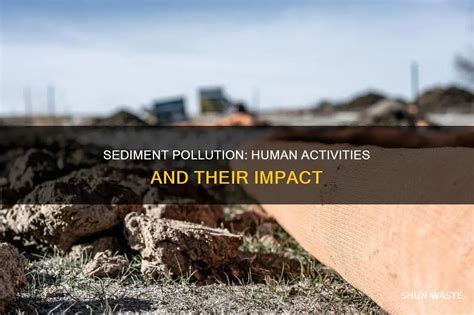 Sediment Pollution Human Activities And Their Impact Shunwaste