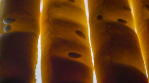 รูปภาพburitos เลือกดูภาพถ่ายสต็อก เวกเตอร์ และวิดีโอ116 Adobe Stock