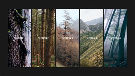 39 Ejemplos De Animación Css3 Vanzadas Ideakreativa