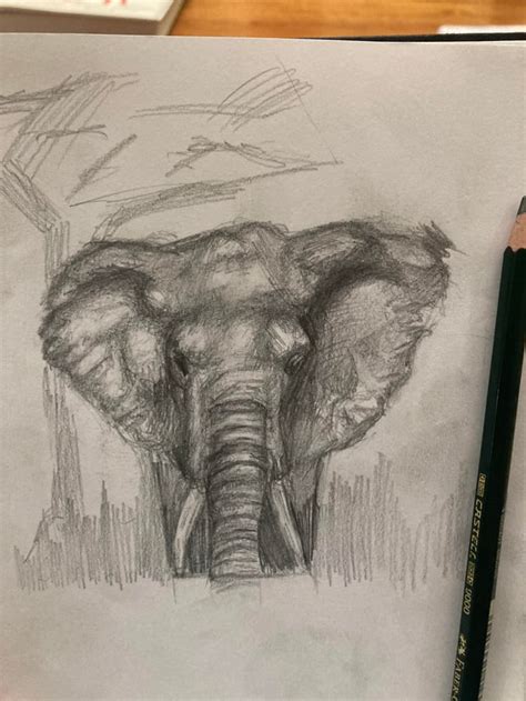 My Drawings Always Feel Blurry Or In Lack Of Detail Also Any Other
