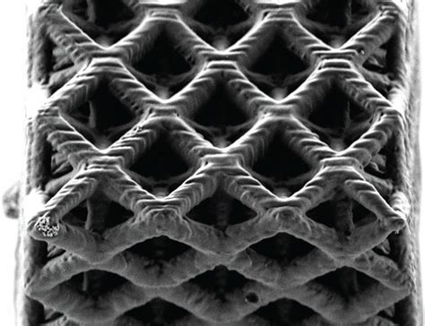 In Science Journals Science