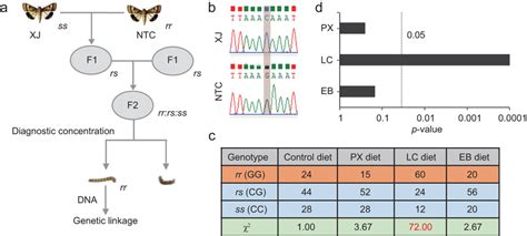 Gst Cluster Genetic Linkage With Lambda Cyhalothrin Resistance A