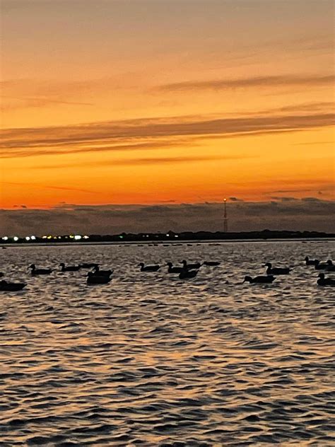 Blindgrass Blindgrass Added A New Photo Blindgrass Blindgrass Added A New Photo