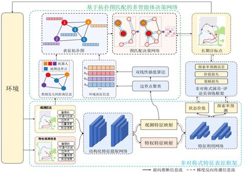 基于非对称拓扑表征的多机器人未知环境探索方法及系统