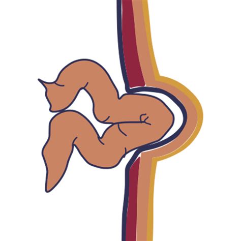 Hernie La Ligne Blanche Chirugien Disgestif Viscéral