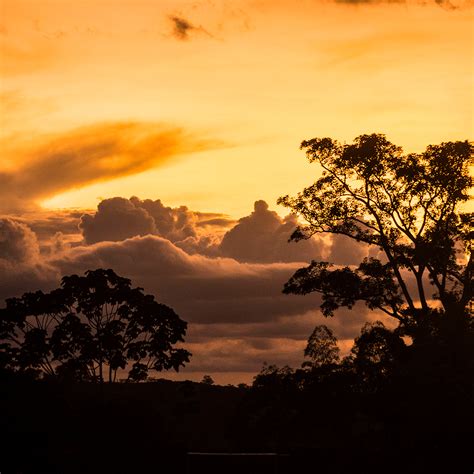Caquetá Puerta A La Biodiversidad Y Cultura De La Amazonía