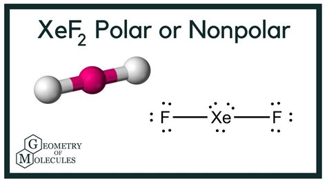 Draw The Lewis Structure For The Xenon Difluoride Molecule