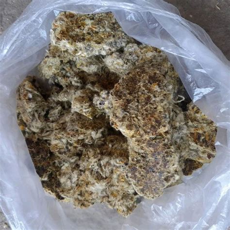 Maize Oil Cake For Cattle Feed At Rs 36kg In Indore Id 2849619320148