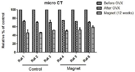 Comparison Of Bone Mineral Density By Micro Ct Scan The Statistical Download Scientific