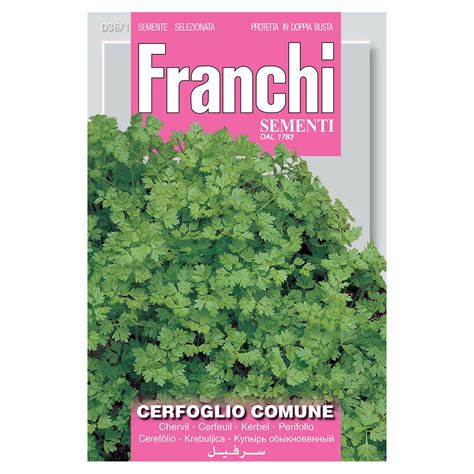 Buy Chervil Herb Seeds — The Worm That Turned Revitalising Your Outdoor Space