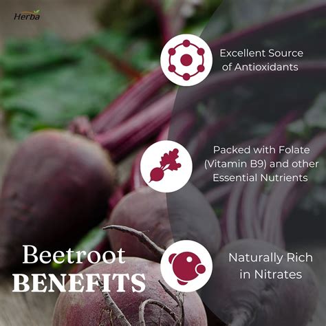Buy Herba Organic Beetroot Supplement 10 000mg 180 Capsules Made In Canada