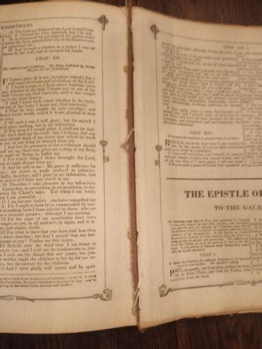 Antique Book Rare Victorian Holy Bible Late 1800s John E Potter And Co