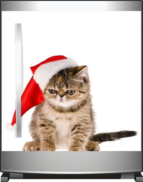 Wallario Möbelfolie Ich Hasse Weihnachten Mürrische Katze Mit