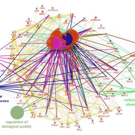 Pathway Analysis For 80 Elements Of Main Connected Component The Large