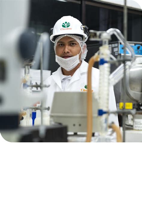 Limón Persa Citrofrut