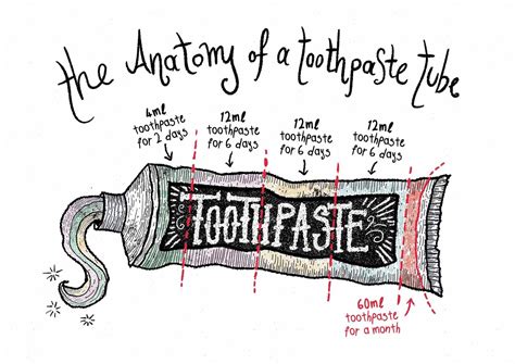 The Anatomy Of A Toothpaste Tube Art Print Toiletries Bathroom Wallart