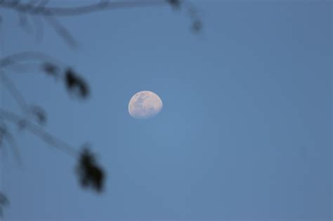 The 50 Greatest Poems About Sex The 50 Greatest Poems About Sex