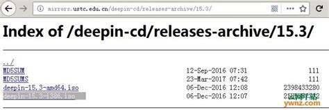 linux32系统下载地址 deepin 15 3 32位iso下载地址，深度系统最后支持32位的版本 csdn博客