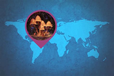 Psilocybin Around The World Where Are Magic Mushrooms Legal Greenstate