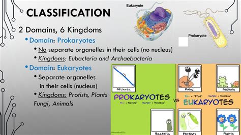 Classification Eq How Have New Discoveries Helped Us To Redefine The