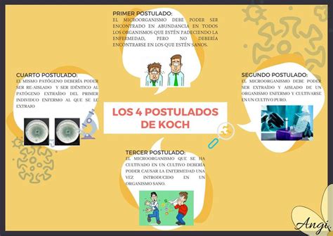 Loss 4 Postulados De Koch Angiluq Udocz