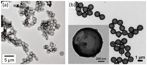 Polydopamine Nanomaterials For Overcoming Current Challenges In Cancer Treatment