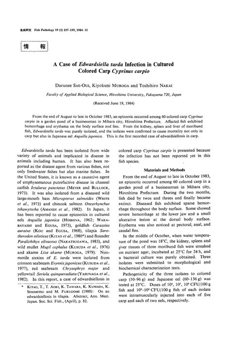 Pdf A Case Of Edwardsiella Tarda Infection In Cultured Colored Carp Cyprinus Carpio
