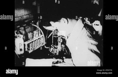 Typhoid Microscope Stock Videos And Footage Hd And 4k Video Clips Alamy