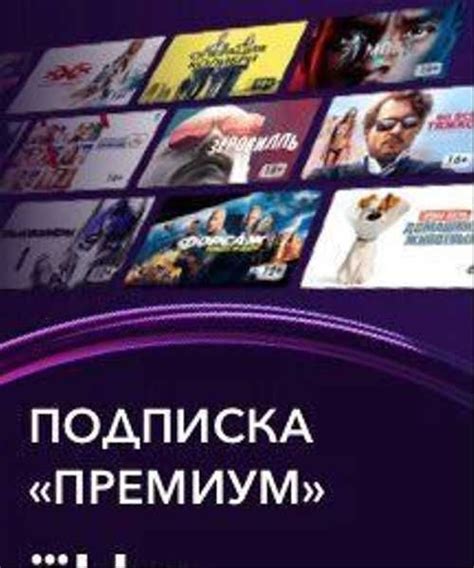 Okko подписка «Премиум Окко» 12 месяцев | Festima.Ru - Мониторинг ...