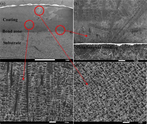 Microstructures Of Cross Section Of Laser Cladding Cocrfemoni