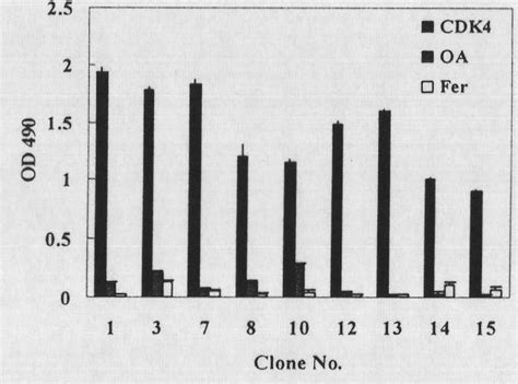Antitumor Human Single Chain Antibody Eureka Patsnap