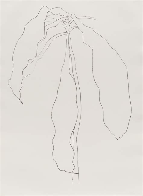 Dracena Ii Artwork Galleriesnow