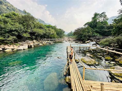 Experience Exploring Mooc Spring In Phong Nha Ke Bang National Da