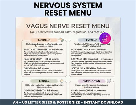 Vagus Nerve Reset Menu Printable Pdf Nervous System Regulation Cheat