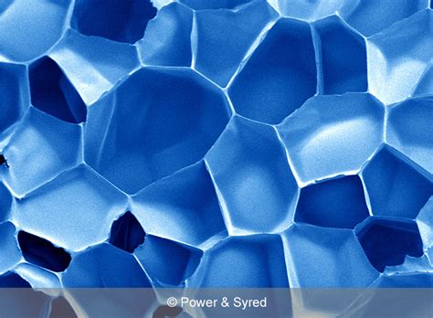 Technology Ps Micrographs