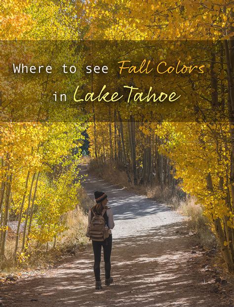 Top Places To See Fall Colors In Lake Tahoe