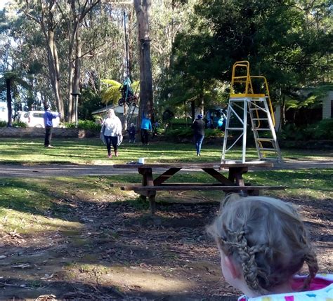 Flying Dexter Love Dexter