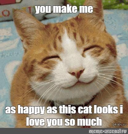 Cute Cat Meme I Love You