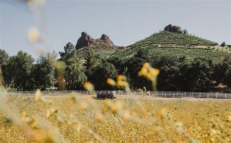 About Us Malibu Wines