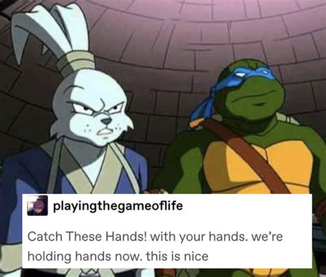 Cant Sleep Because Of Turtles — All Of You Tmnt Artists That Draw The