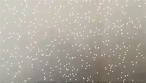 1080 1 Experimentation Shemale Small Cock Sex Porn 7a Xhamster