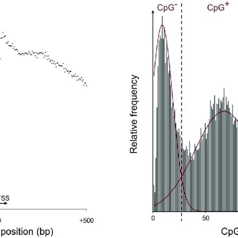 Cpg Distribution Around Tss Visualized Are The Distributions Of Cpgs Download Scientific