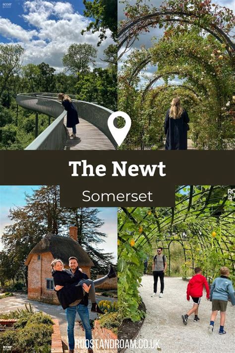 The Newt In Somerset Exclusive Gardens And Hidden Wonders Somerset