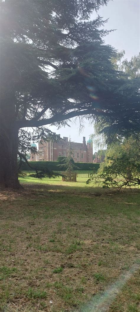 Emma Mudge On Linkedin The Many Angles And New Finds On My Final Day