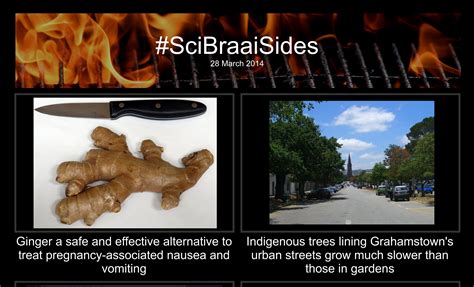 The Science Of What Doom Bug Spray Does To Humans Scibraai